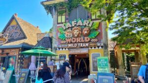 Everland Theme Park: How to Get There & Must-Try Rides