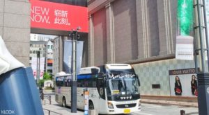 3 Best Ways to Get to Nami Island from Seoul (Complete Guide)