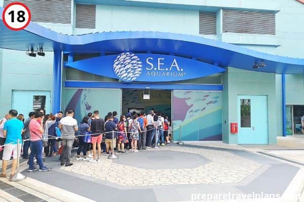 SEA Aquarium Singapore Review: What to See and How to Go?