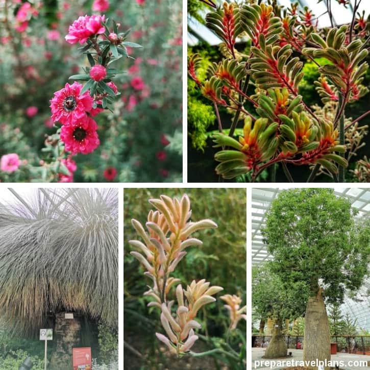 How to Go to Gardens by the Bay by MRT: Step-by-Step Guide