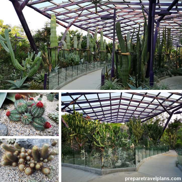 How to Go to Gardens by the Bay by MRT: Step-by-Step Guide