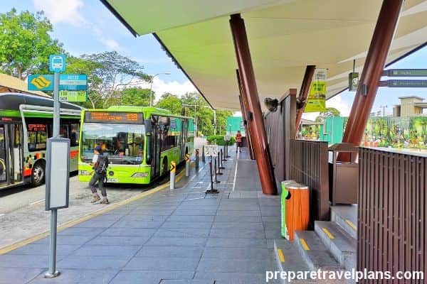 Singapore Zoo Review: What Animals to See & How to Go?