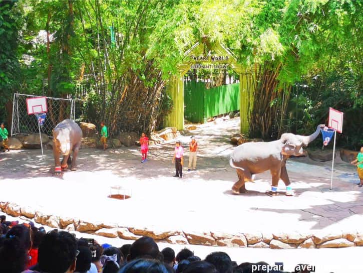 Safari World Bangkok Review: What to See and How to Go?