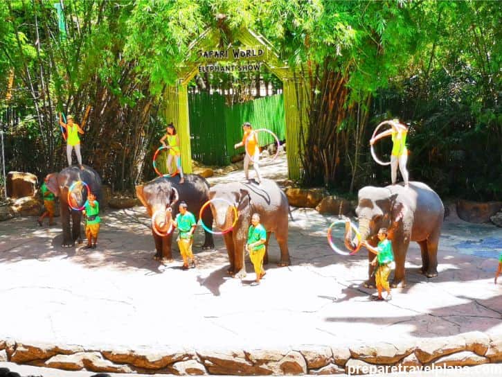 Safari World Bangkok Review: What to See and How to Go?