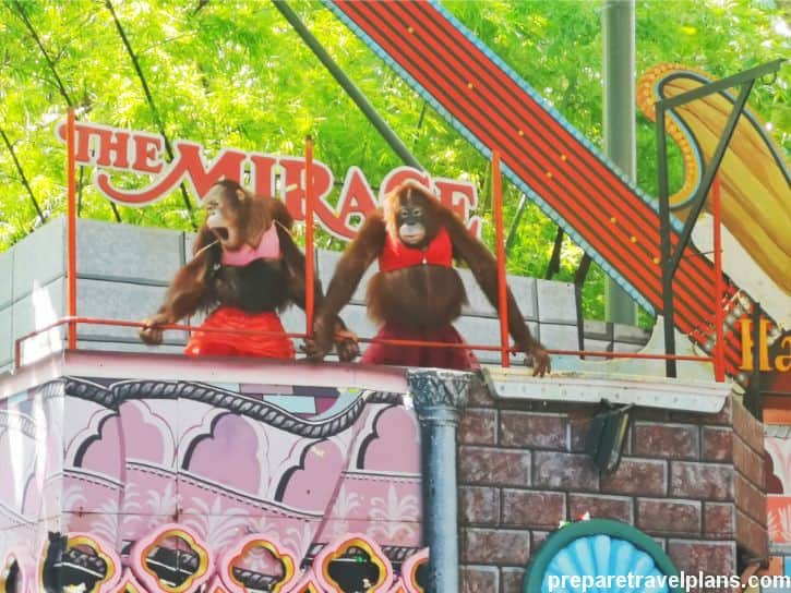 Safari World Bangkok Review: What to See and How to Go?