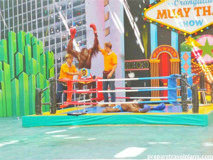 Safari World Bangkok Review: What to See and How to Go?