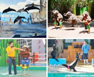 Safari World Bangkok: Review and How to Go Guide