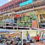 Bangkok to Damnoen Saduak Floating Market (2020 Guide)