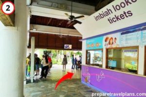 How to Get to Sentosa Island (3 Best Transport Options)