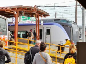 Tokyo to Mount Fuji: A Complete Day Trip Guide for You