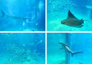 Osaka Itinerary: Best 3 Day Trip Guide You’ll Ever Find