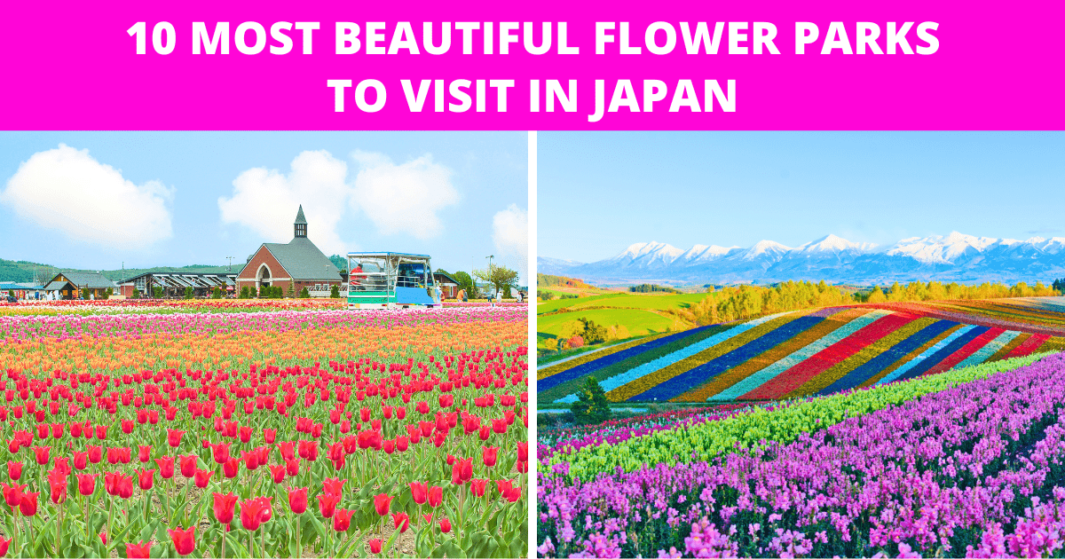 10 Most Beautiful Flower Parks to Visit in Japan