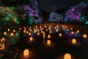 10 New Things to Know Before Visiting Japan