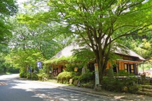10 Best Things to Do in Hakone